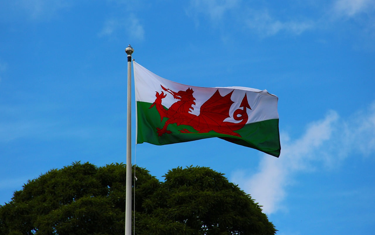 Top 9 Interesting Facts About The Welsh Flag - Welsh Treasure