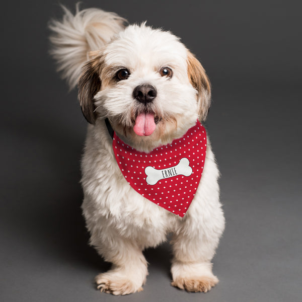 Personalised Red Polka Dot Dog Bandana - Welsh Treasure
