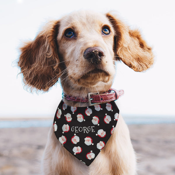 Personalised Santa Black Dog Bandana - Welsh Treasure